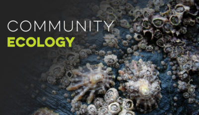 Community Ecology