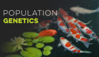 Population Genetics - Virtual Biology Lab