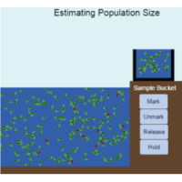 Population Ecology